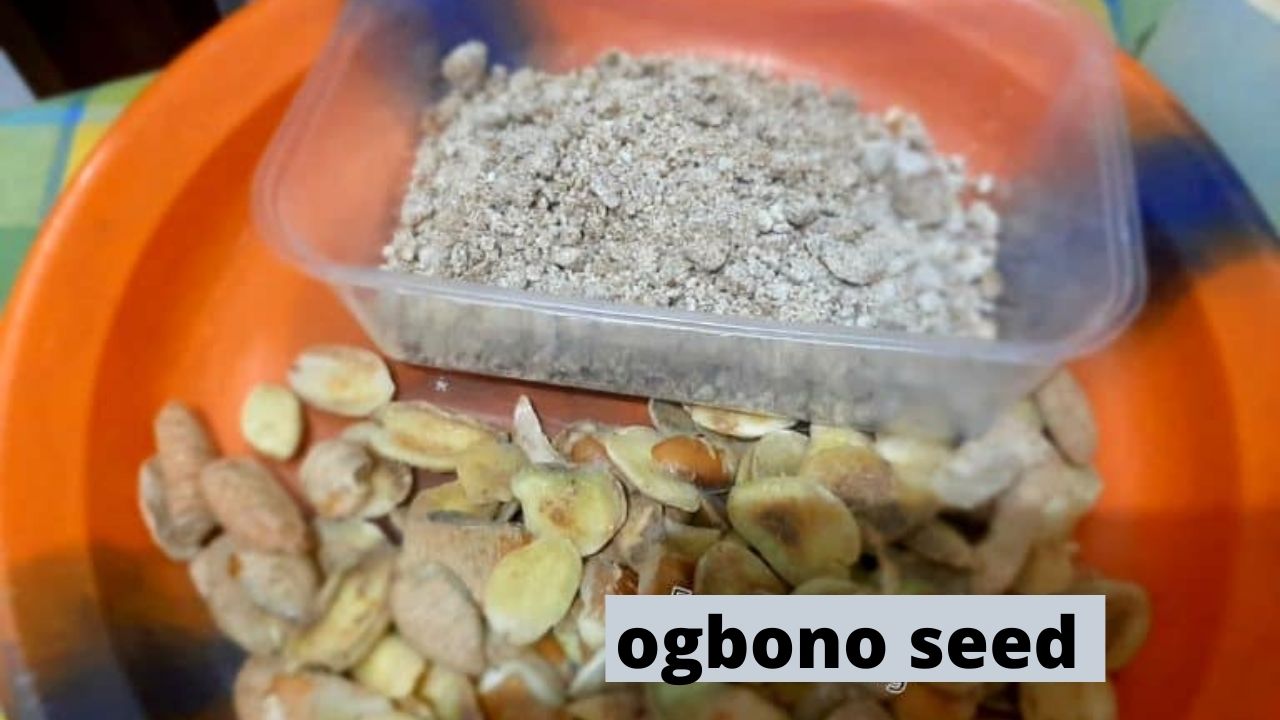 How To Cook Ogbono Soup In Less Than 30 Mins - My Family Pride