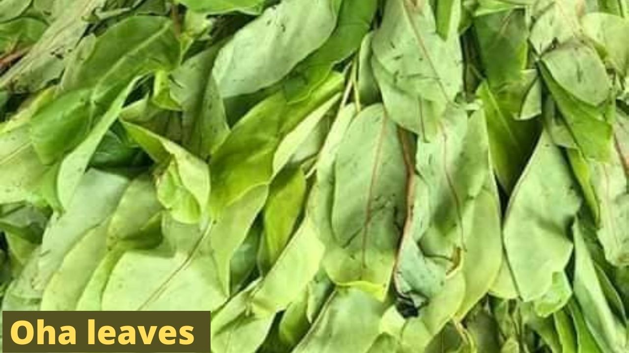 Oha Soup with Palm Fruit - My Family Pride