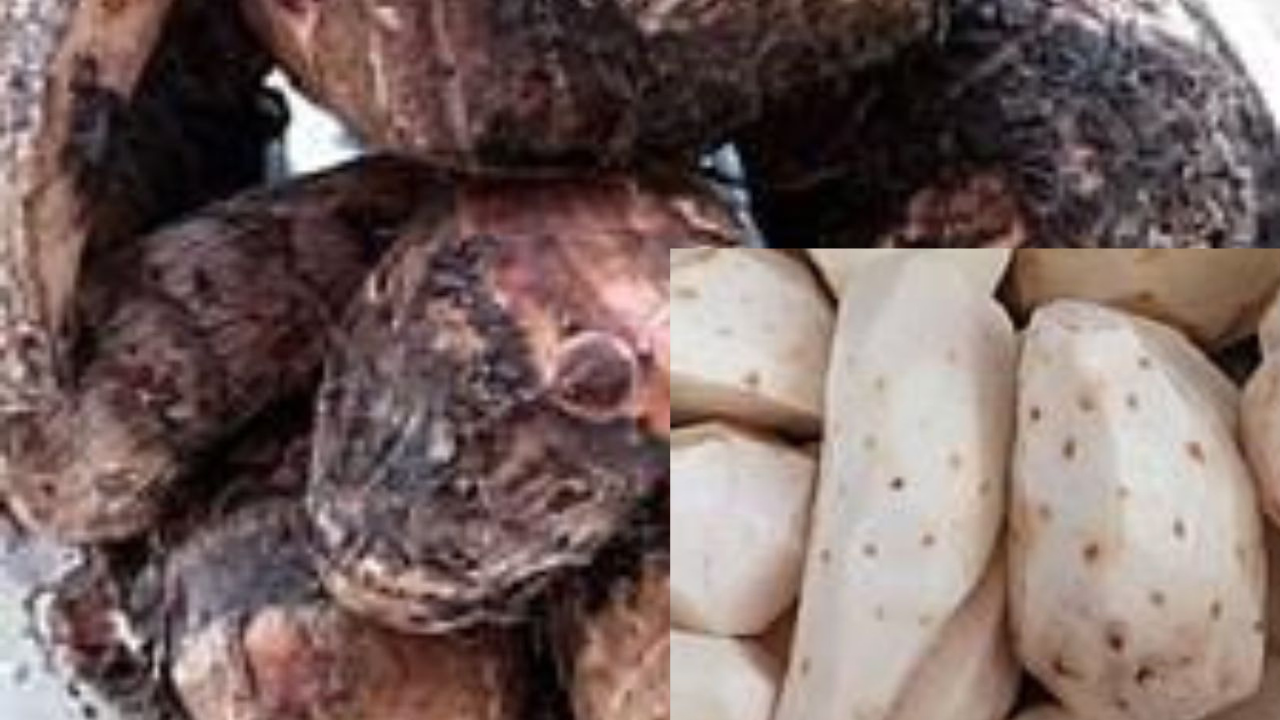 Cocoyam (Ede – soup thickener and swallow) - My Family Pride