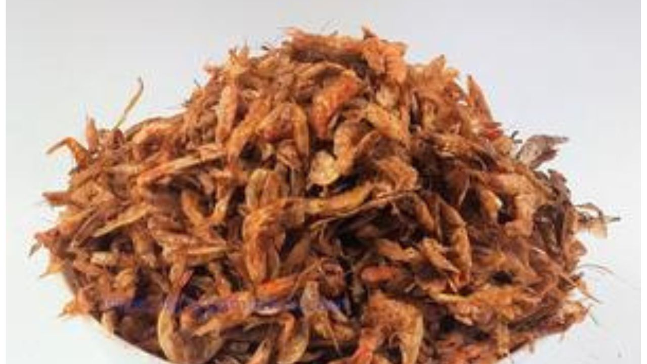 Amazing Facts About Crayfish - My Family Pride