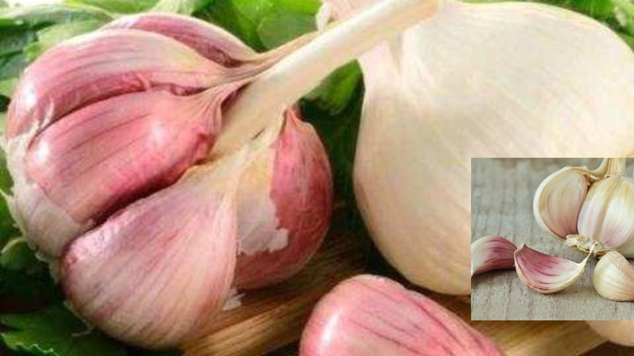Health Benefits Of Garlic And How You Can Use It. - My Family Pride