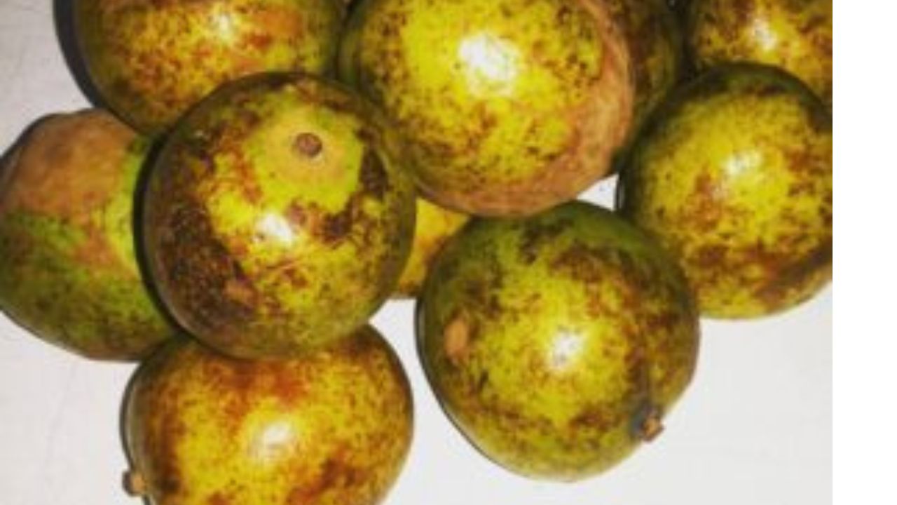 10 Reasons to Love Ogbono Soup. - My Family Pride