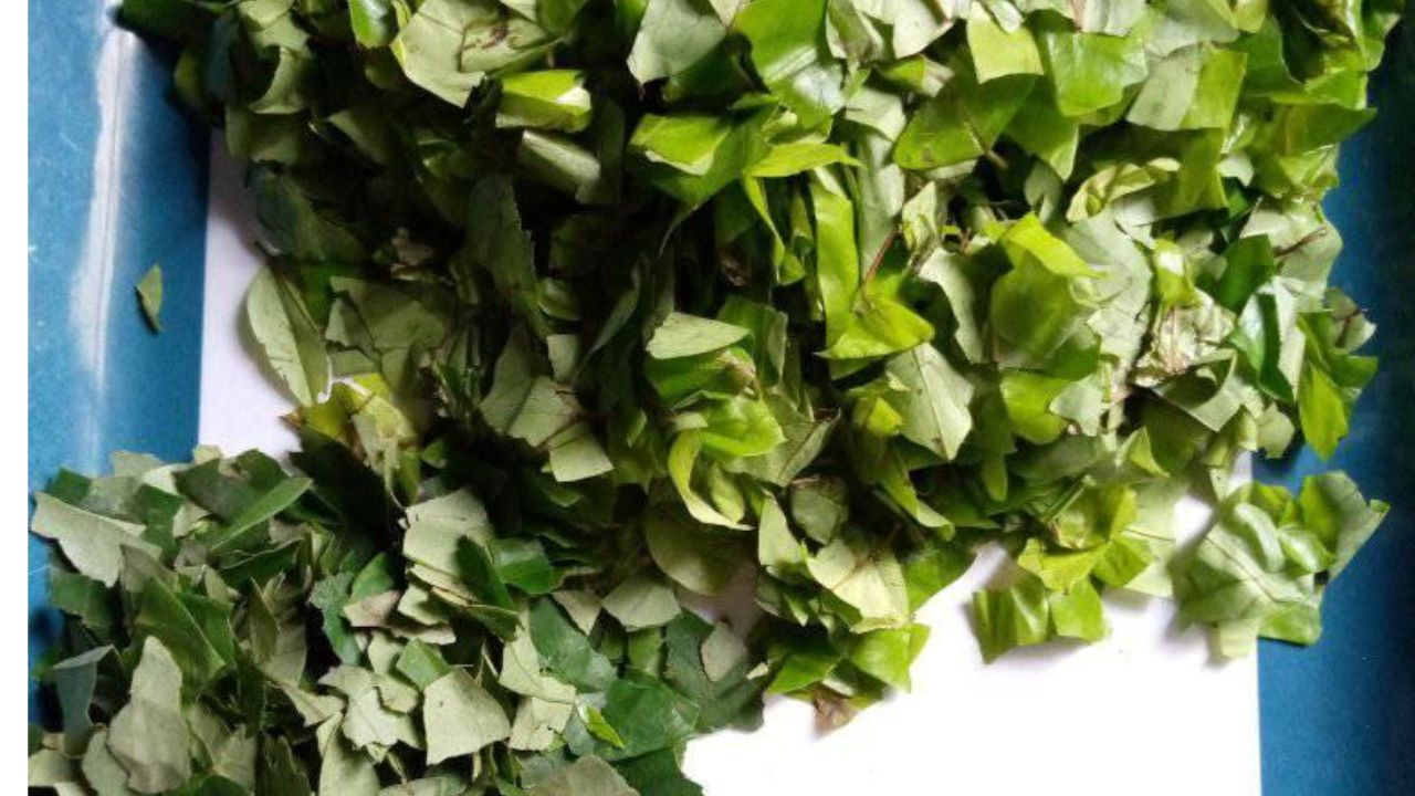 Oha Soup Recipe | Easy Guide - My Family Pride