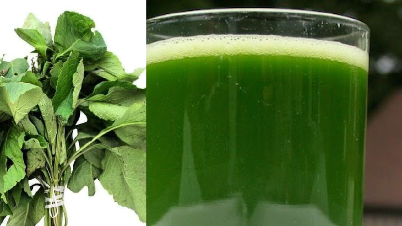 The Magic of Scent Leaves - My Family Pride