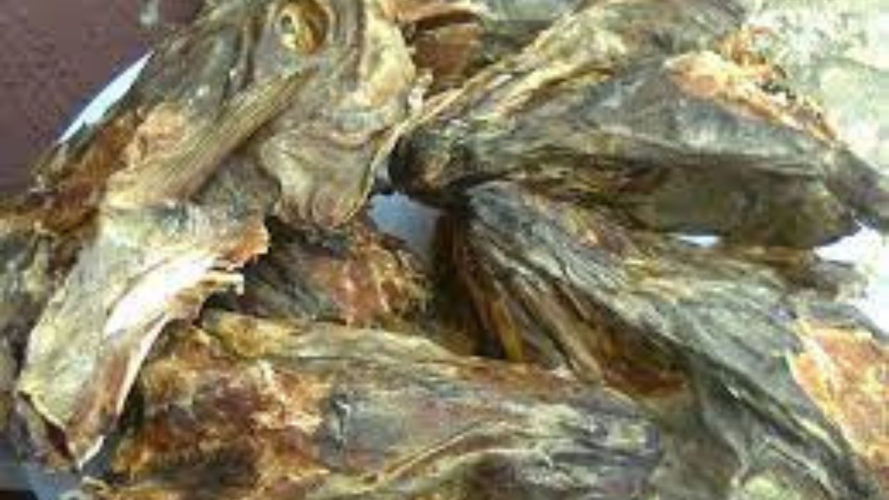 How To Use Stockfish And Its Health Benefits - My Family Pride