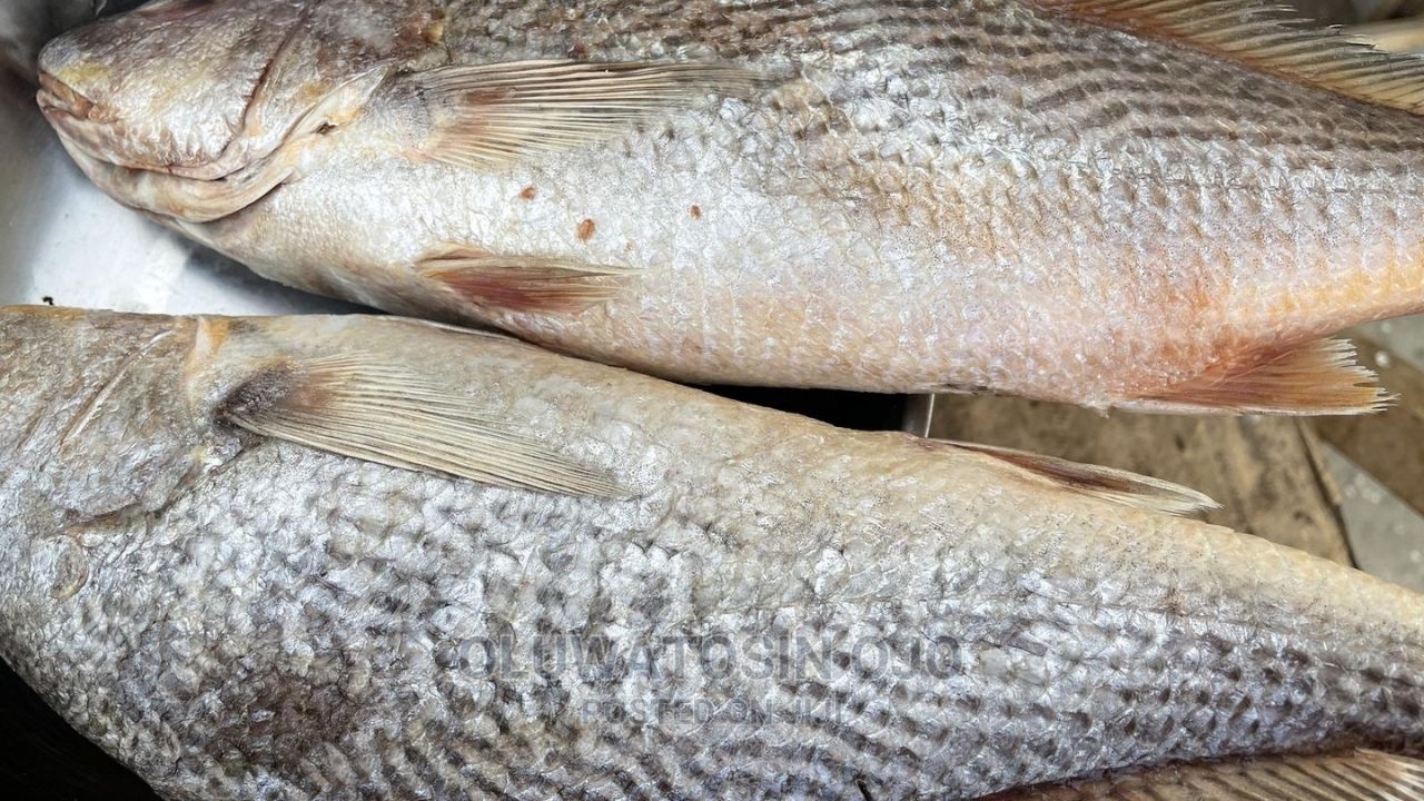 How To Make Peppered Fish In Less Time - My Family Pride