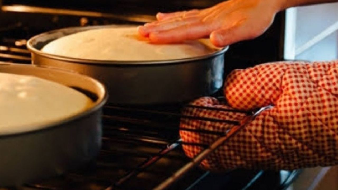 13 Bakery Rules And Regulations/ (Explore). - My Family Pride