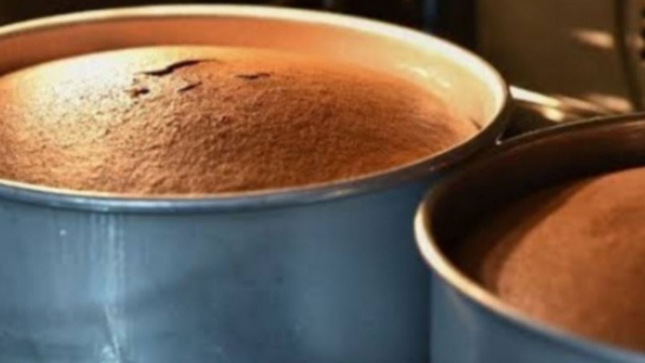 13 Bakery Rules And Regulations/ (Explore). - My Family Pride