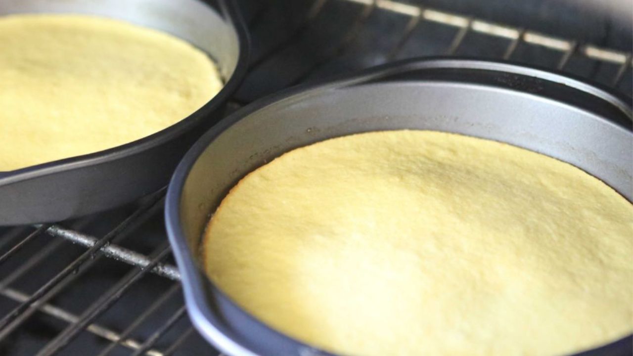 13 Bakery Rules And Regulations/ (Explore). - My Family Pride