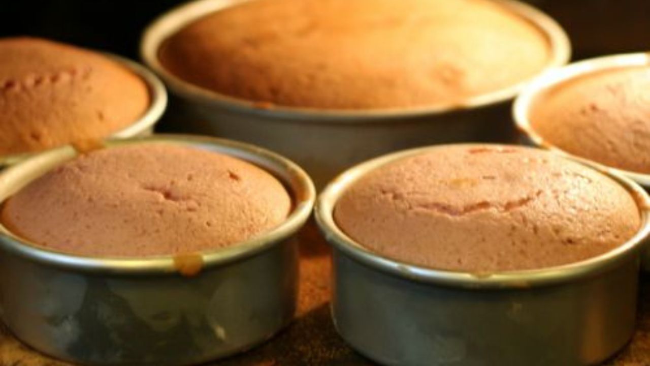 13 Bakery Rules And Regulations/ (Explore). - My Family Pride