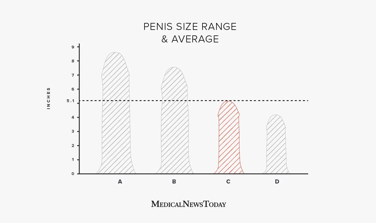 Average Penis Size by Country: An In-Depth Look at Global Variations ...